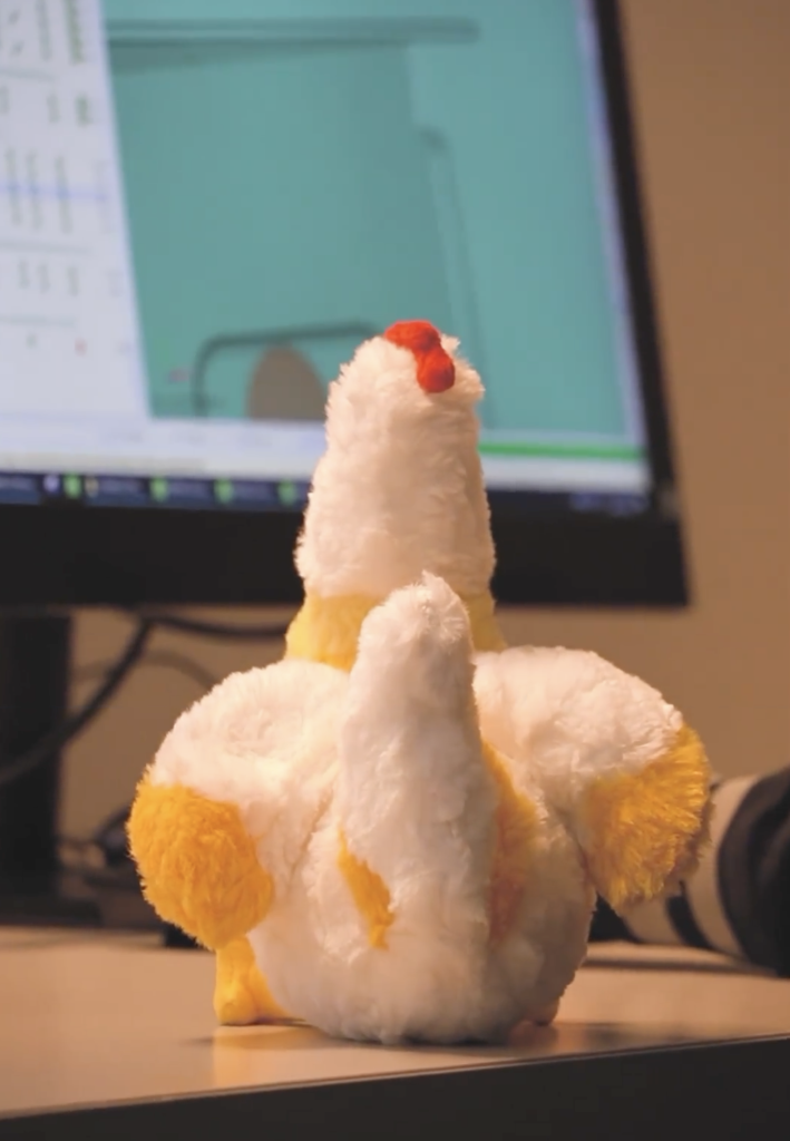 Operation center - Cropelli - Operation center - Cropelli